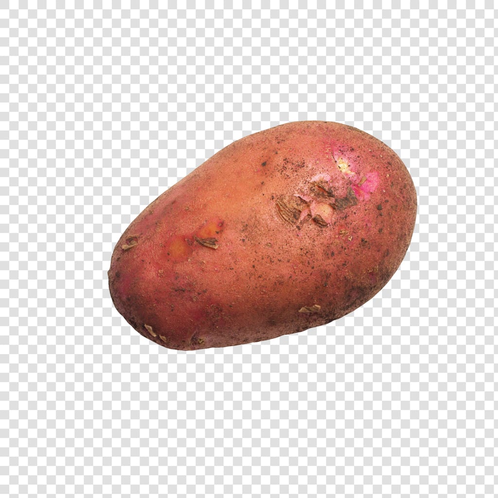 Potato graphic asset