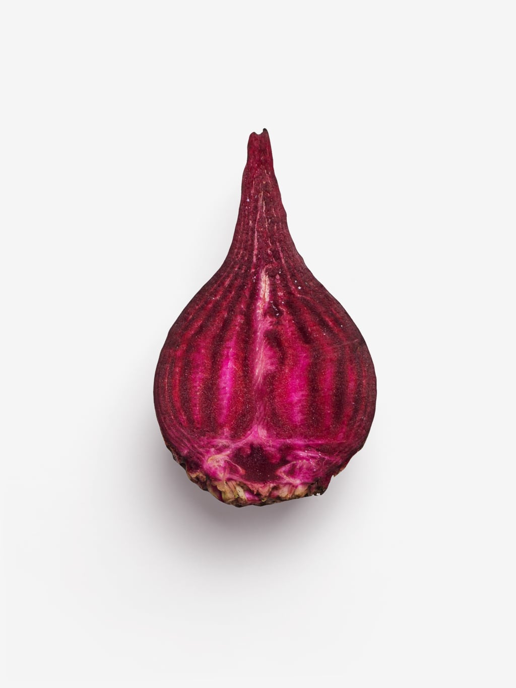 Beetroot graphic assets