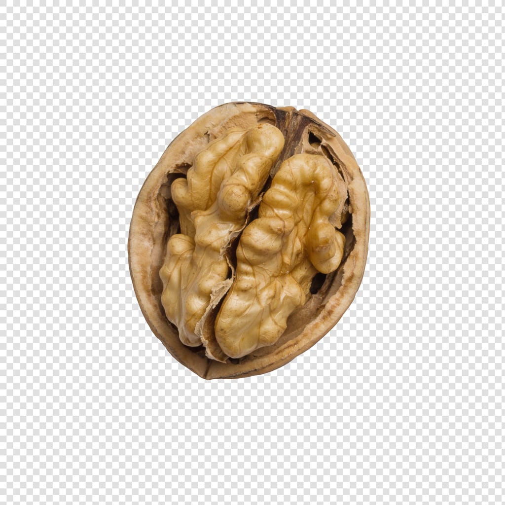 Walnut graphic asset