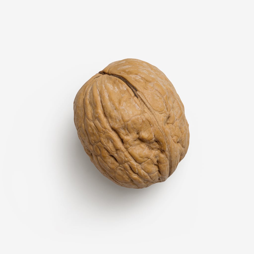 Walnut graphic asset