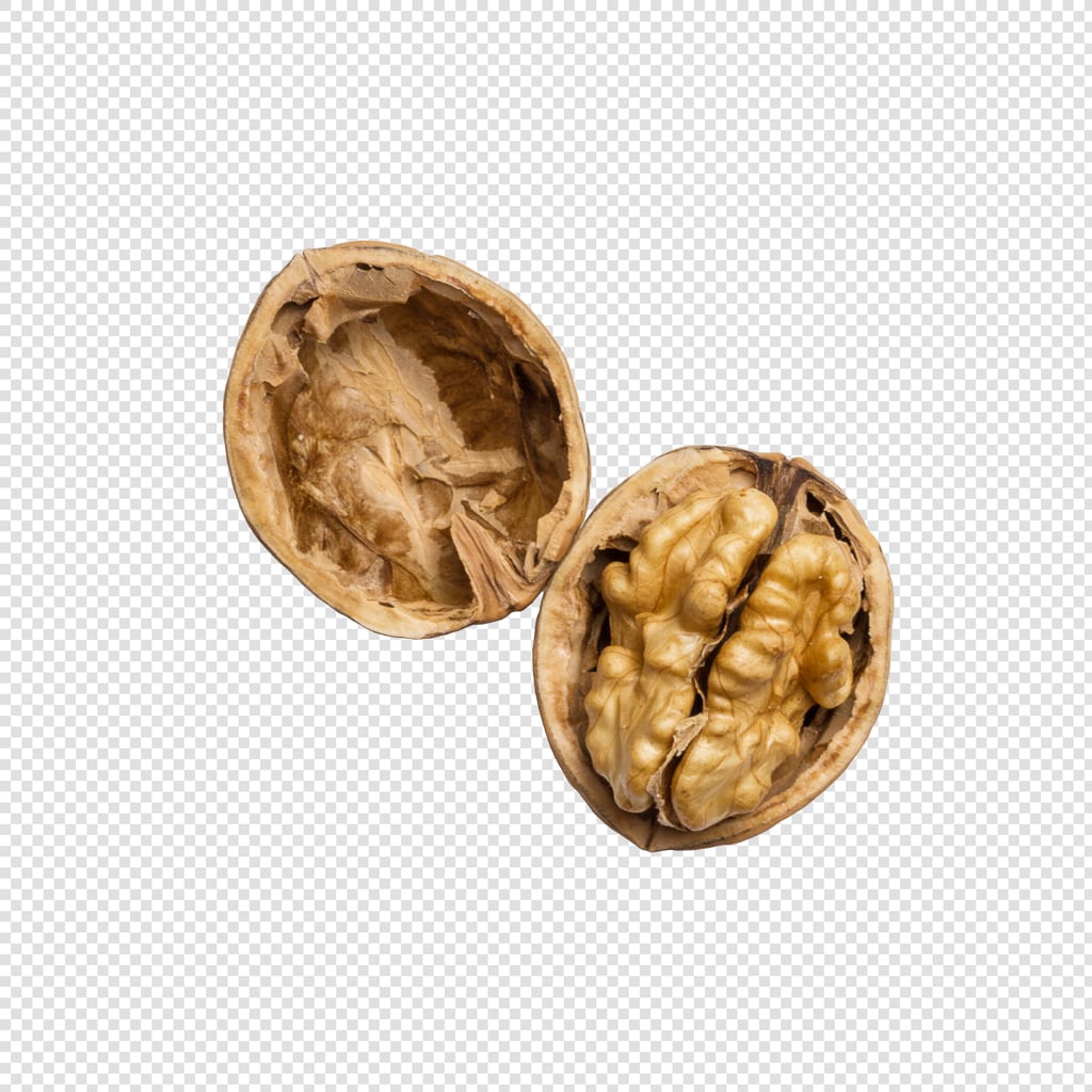 Walnut graphic asset