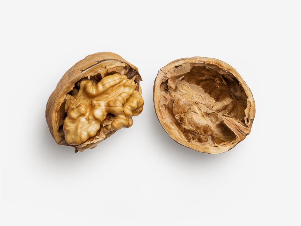 Free and premium graphic design resources