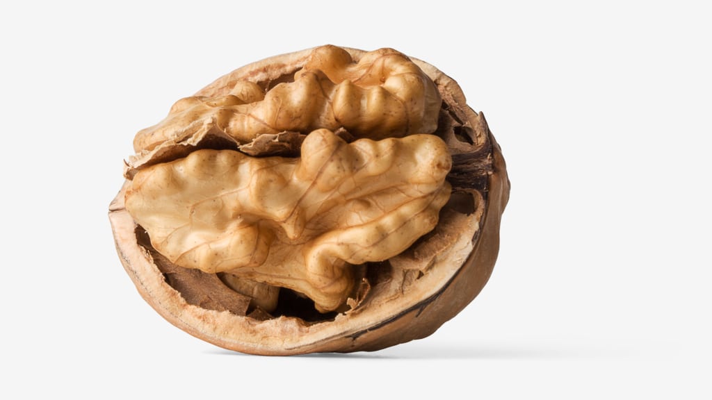 Walnut graphic asset