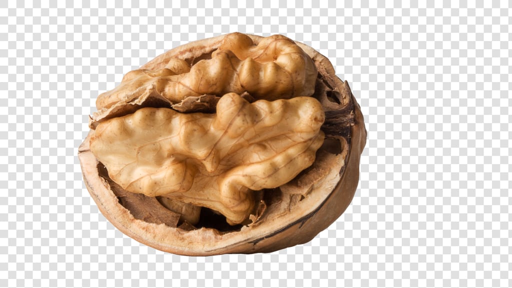 Walnut graphic asset