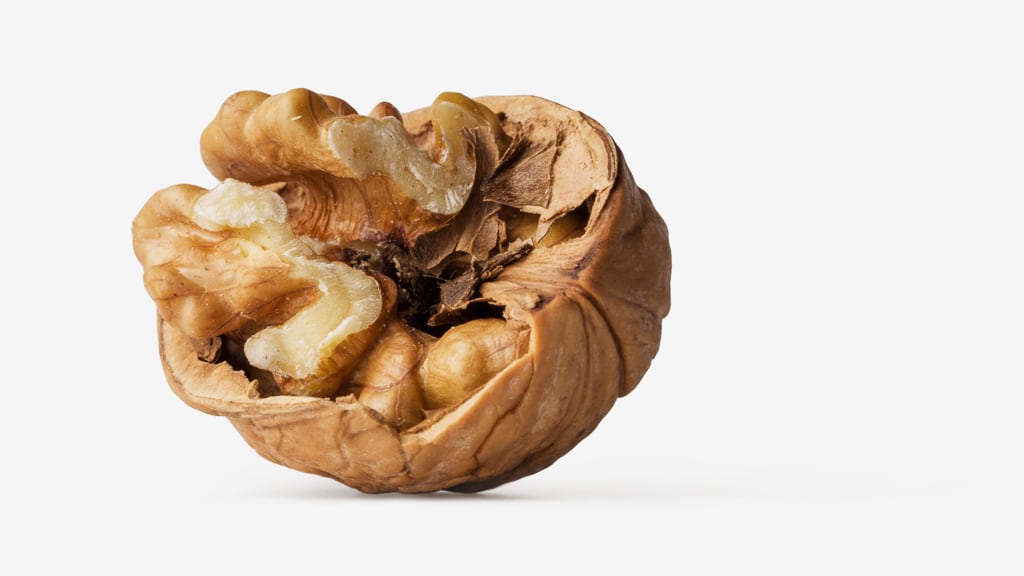 Walnut graphic asset