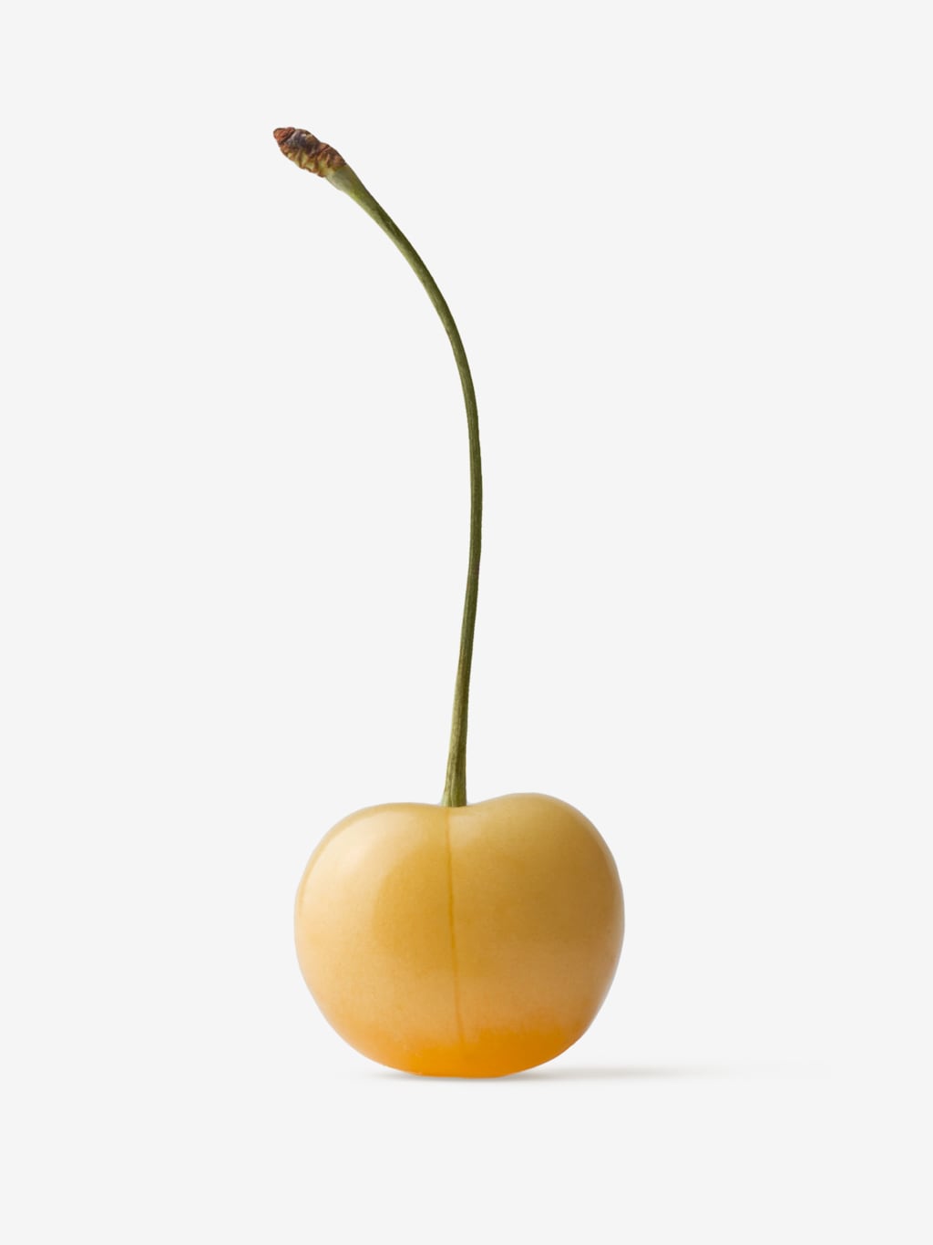 Cherry graphic asset