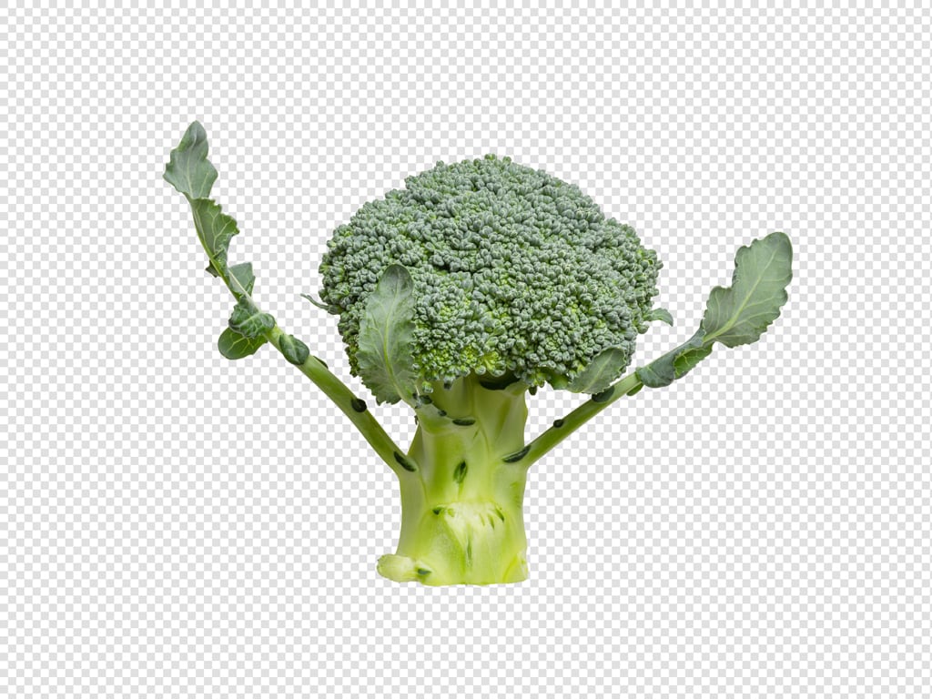 Isolated broccoli psd image graphic asset