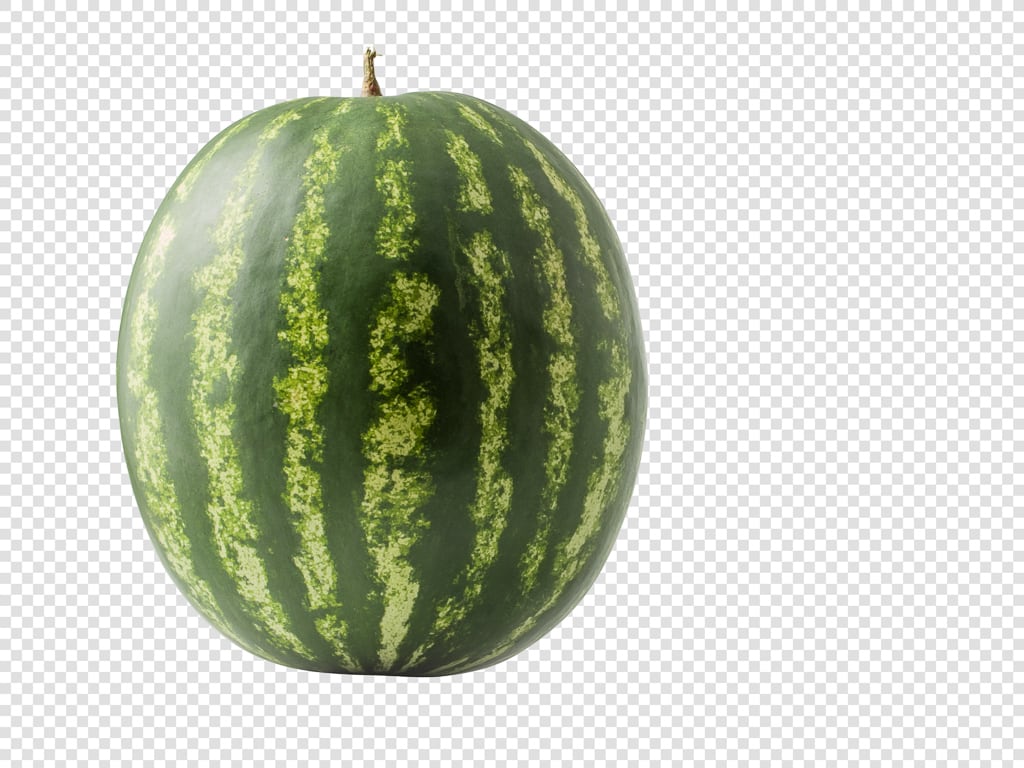 Watermelon graphic asset