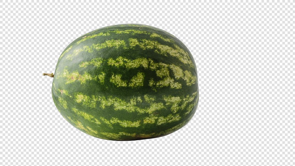 Watermelon graphic asset