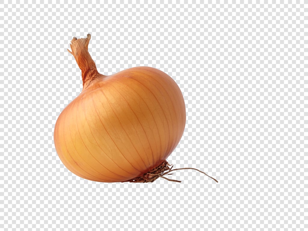 Onion graphic asset