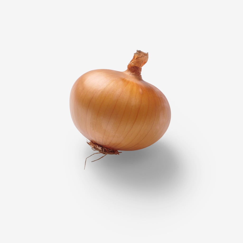 Onion graphic assets