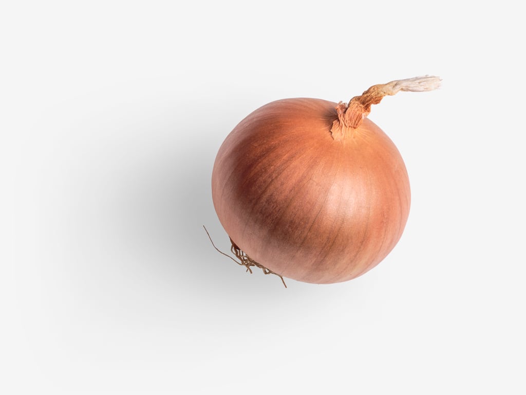 Onion graphic asset