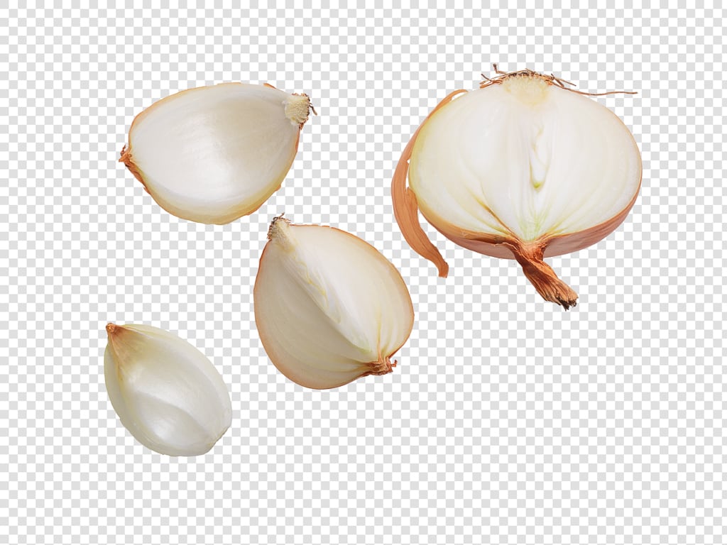 Onion graphic asset
