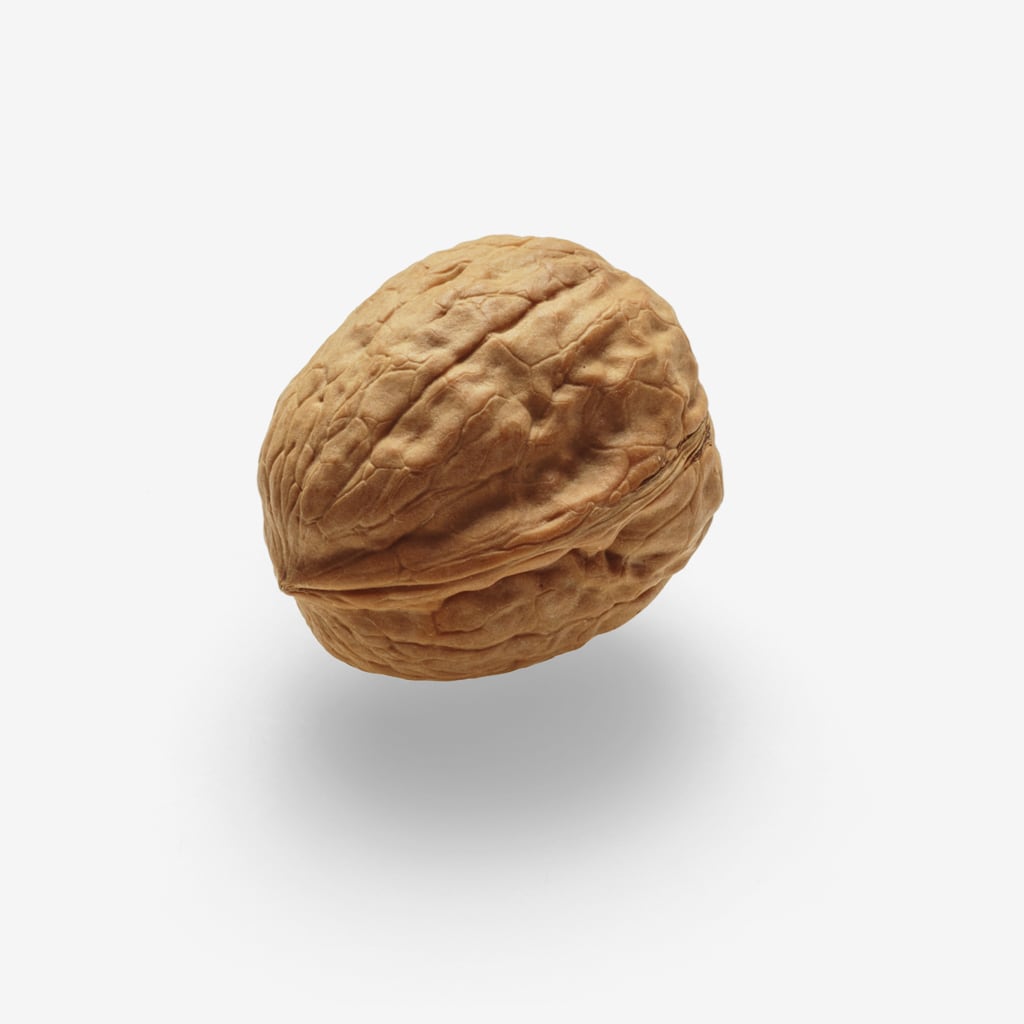 Walnut graphic asset