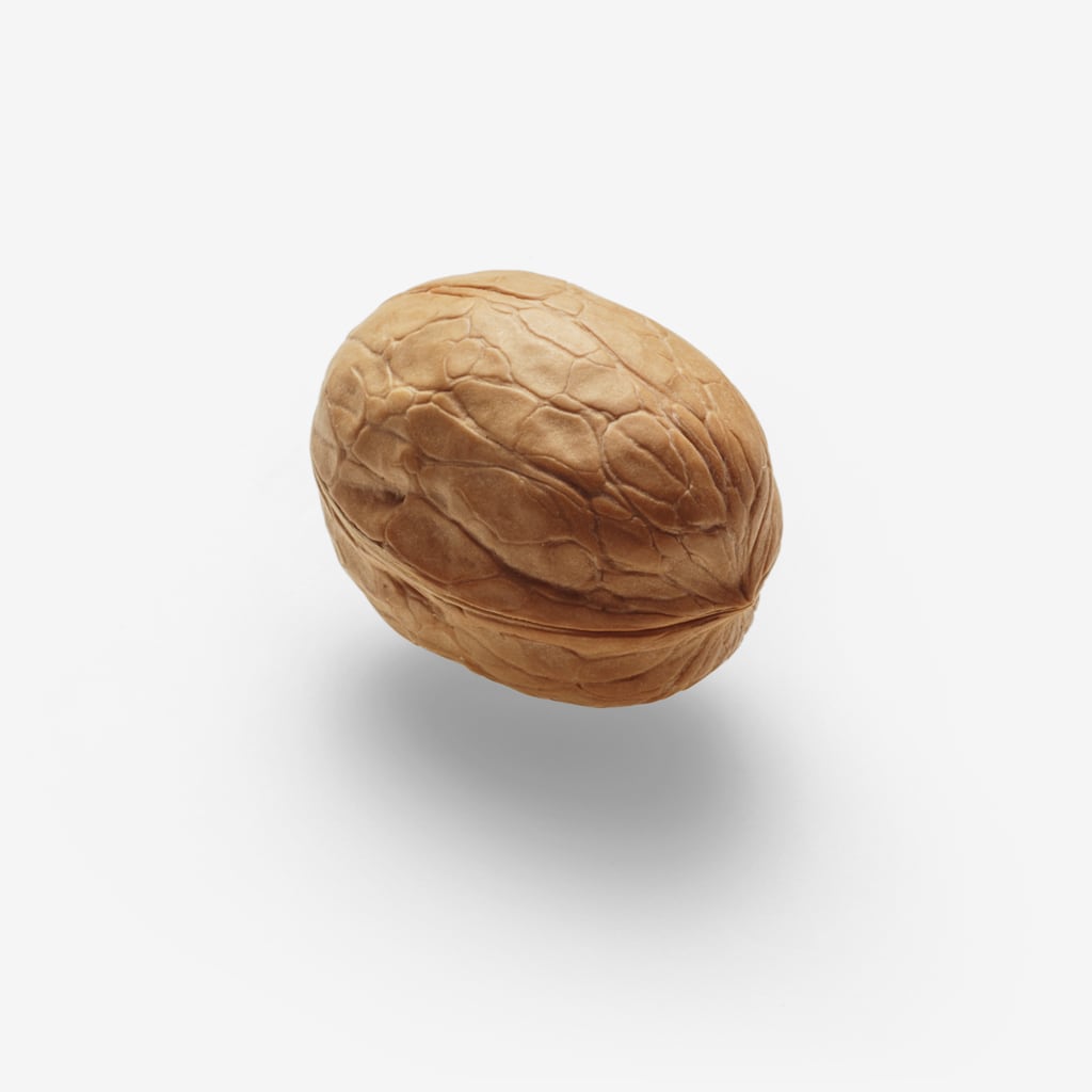 Walnut graphic asset