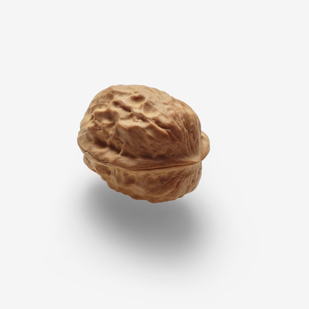 Walnut graphic asset