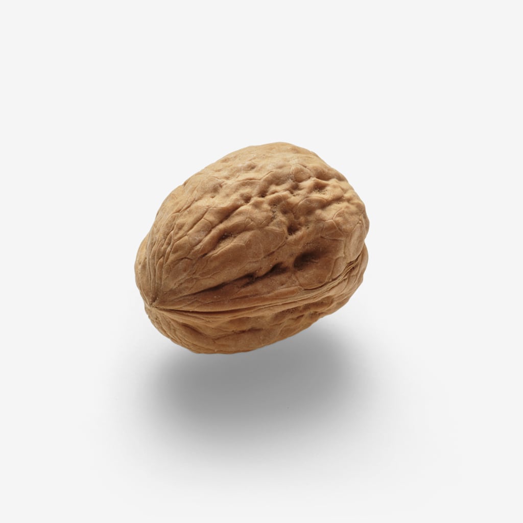Walnut graphic asset