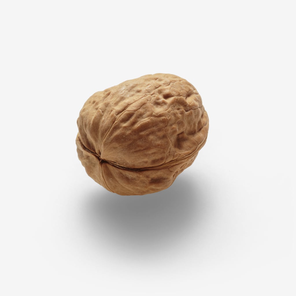 Walnut graphic asset
