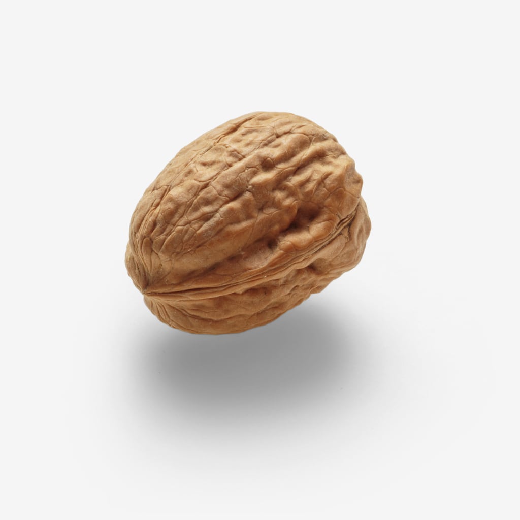 Walnut graphic asset