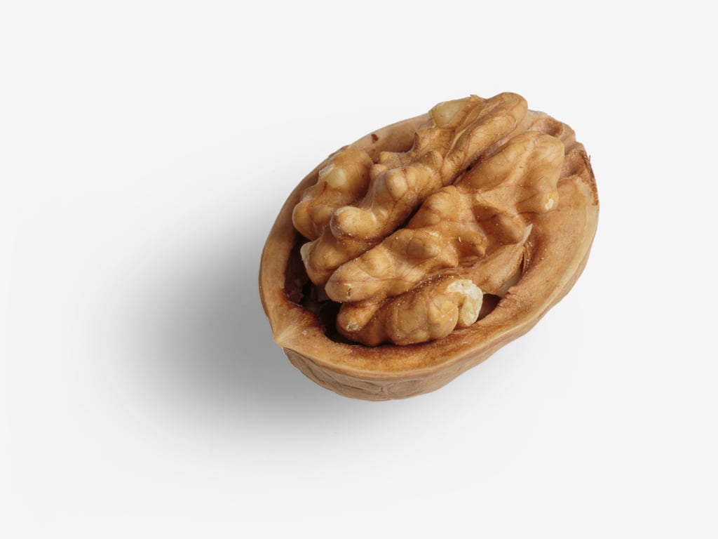 Walnut graphic asset