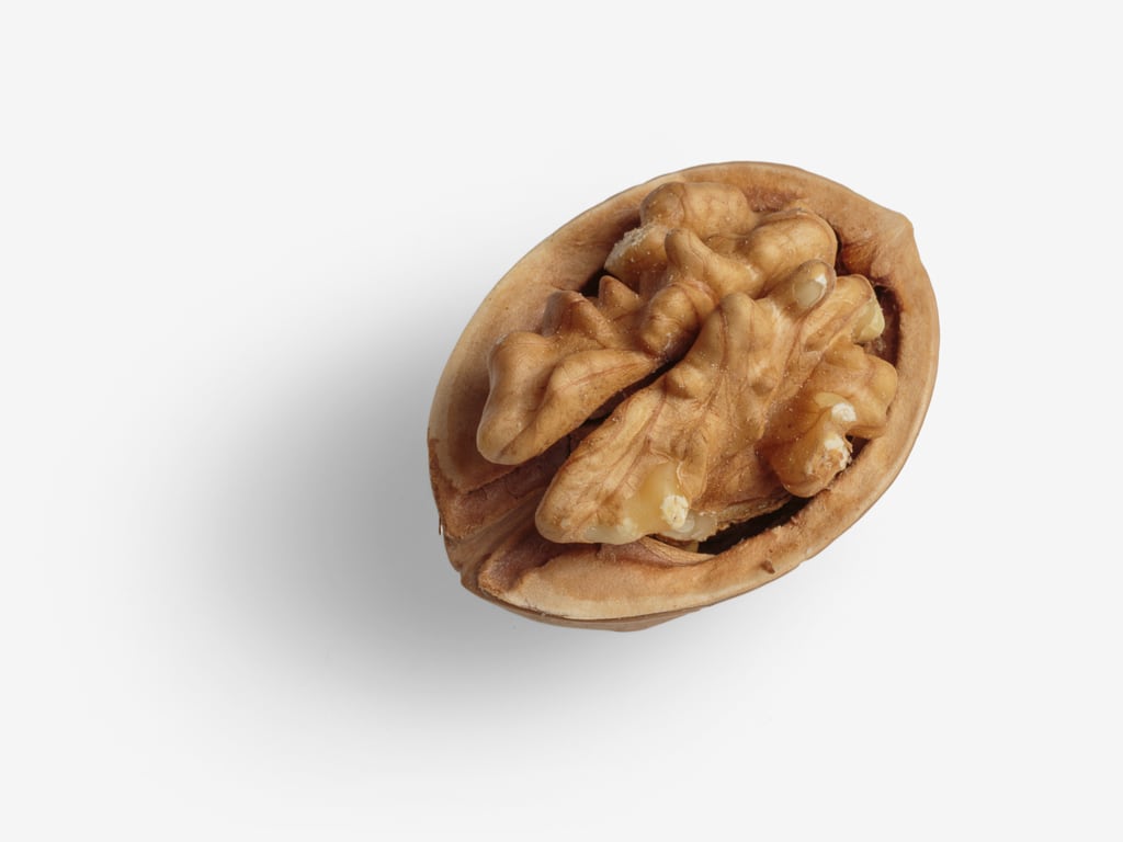 Walnut graphic asset
