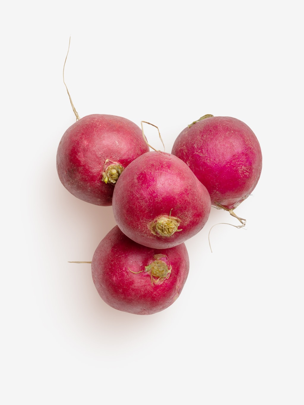 Clean isolated psd image of radish on transparent background with ...