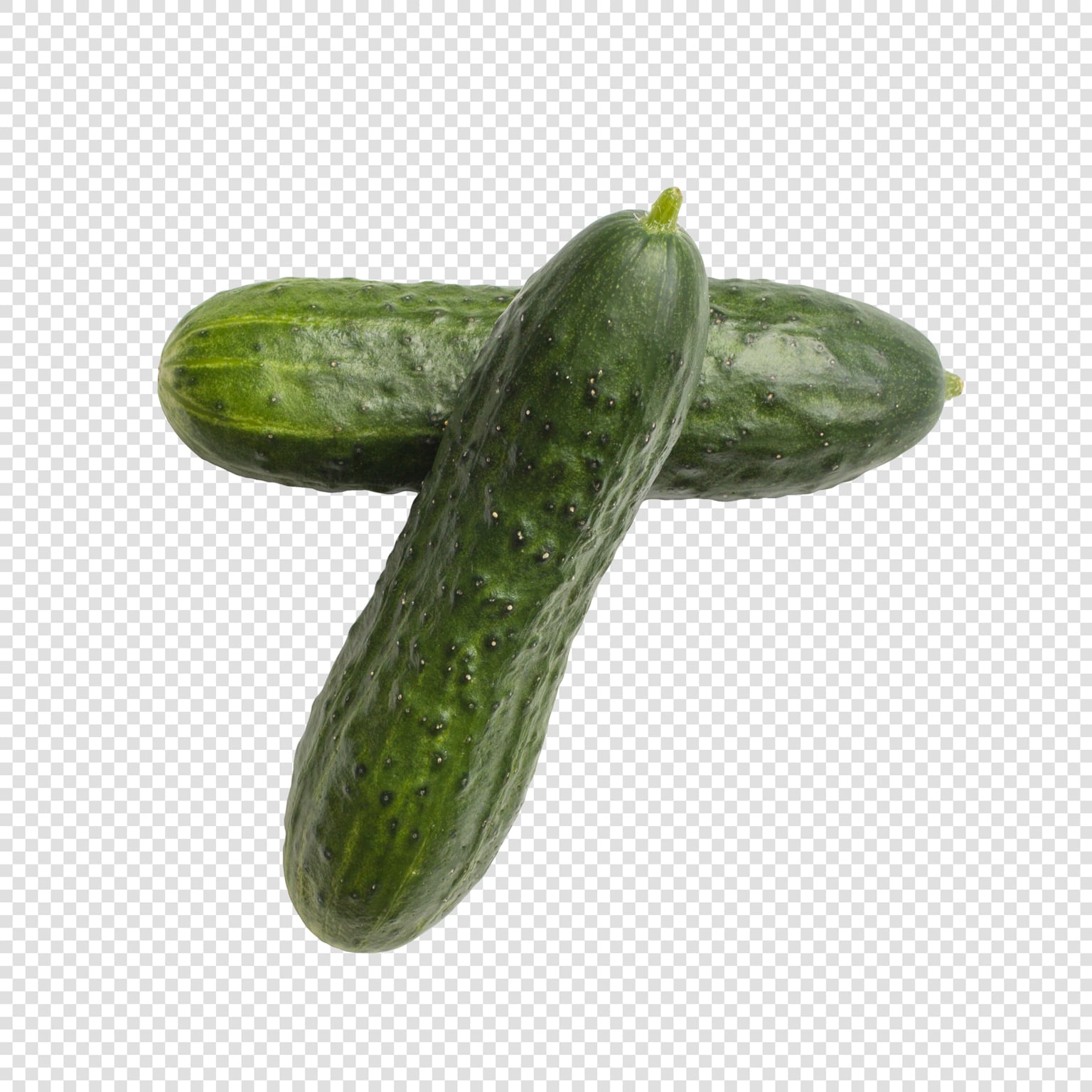 Cucumber graphic asset