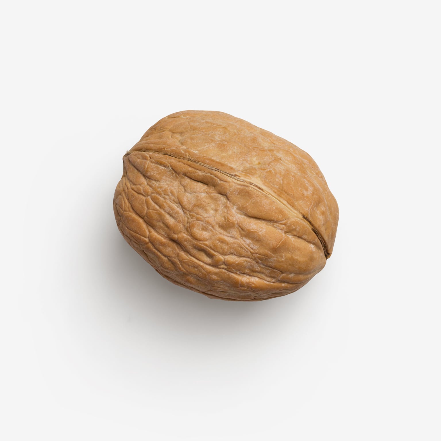 Walnut graphic asset