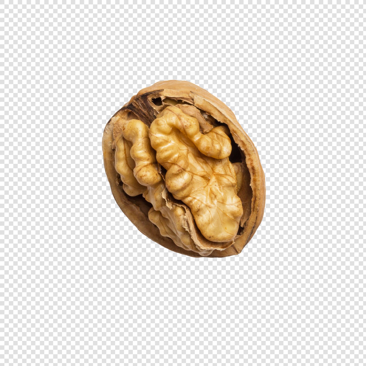 Walnut graphic asset