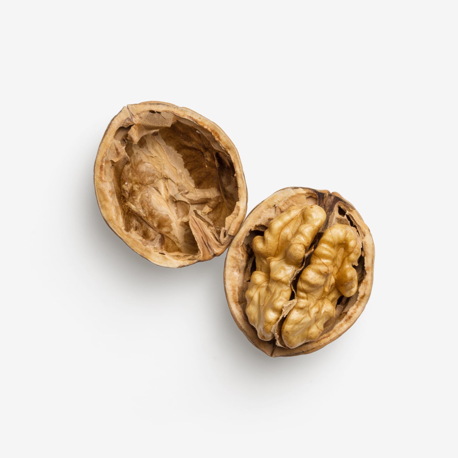 Walnut graphic asset