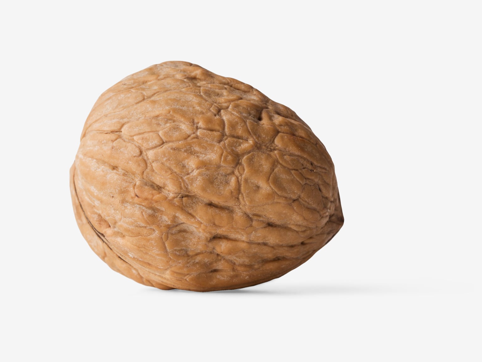 Walnut graphic asset