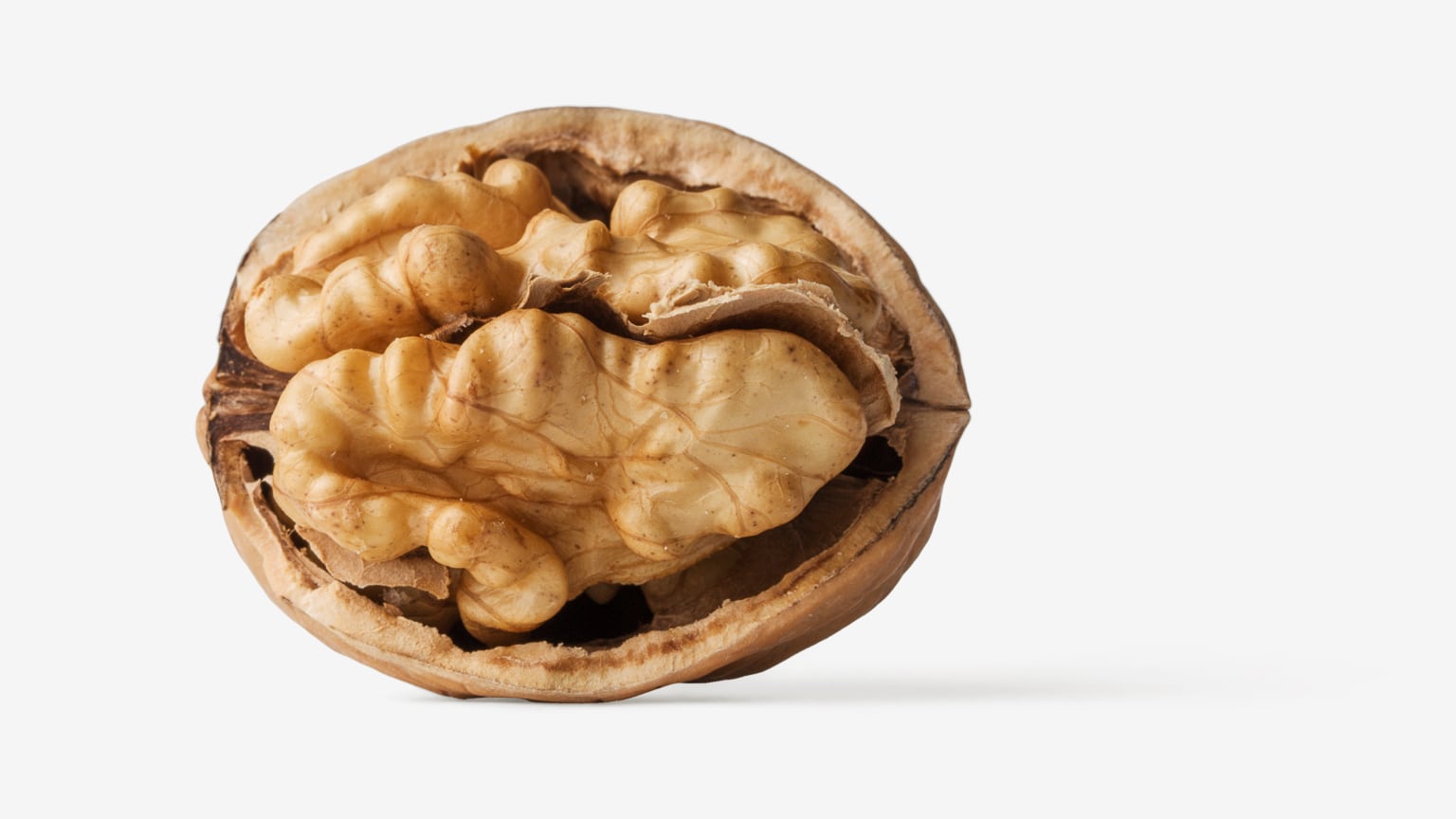 Walnut graphic asset