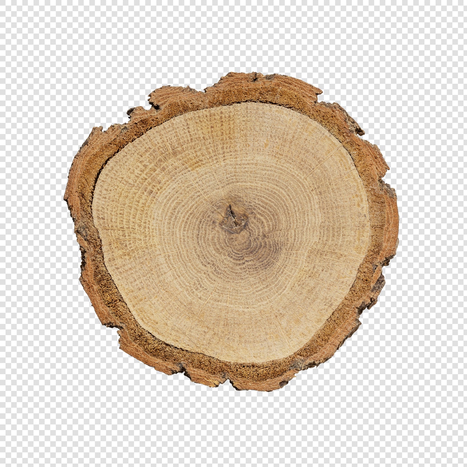 Isolated wood slice psd image graphic asset