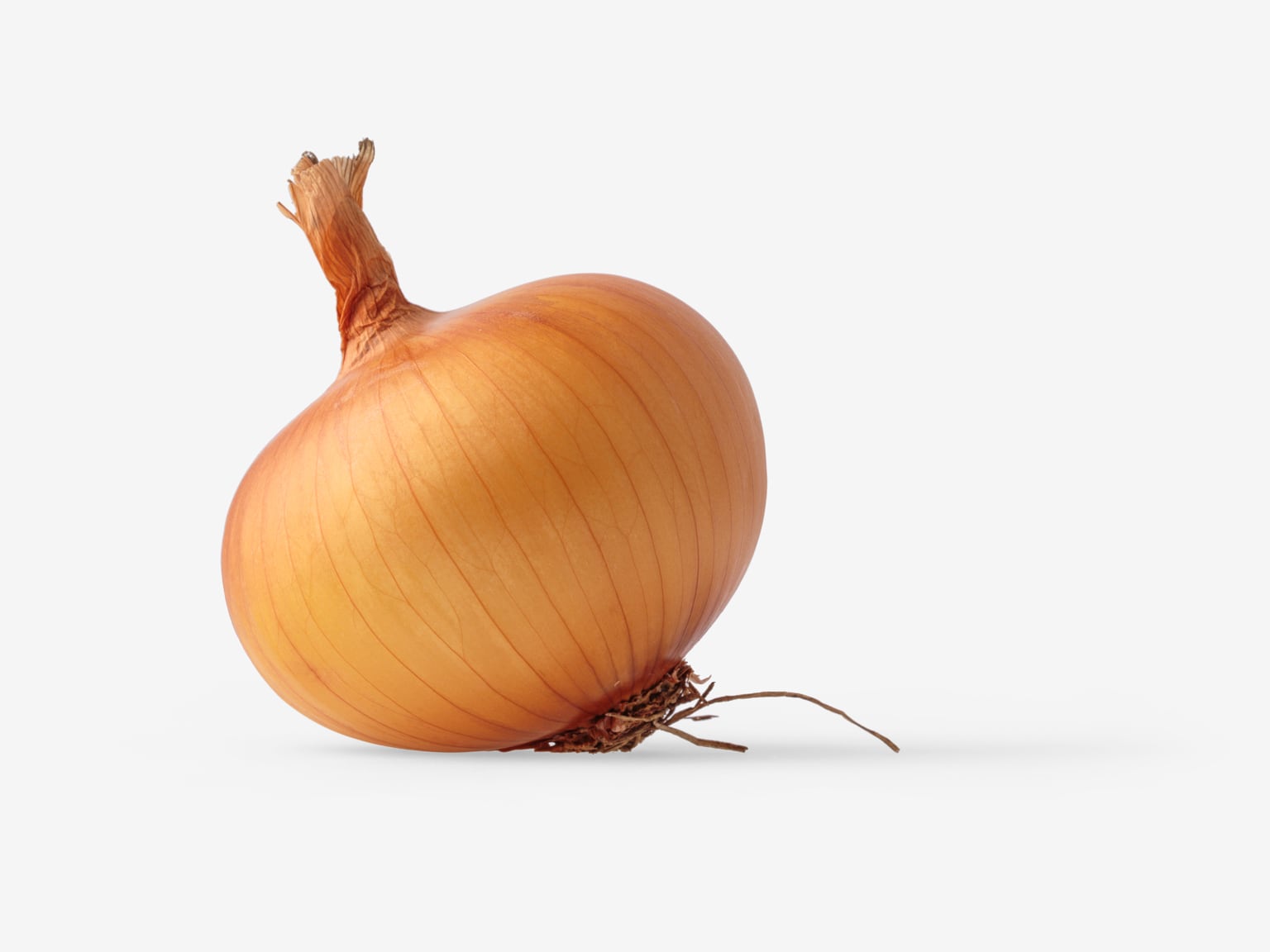 Onion graphic asset