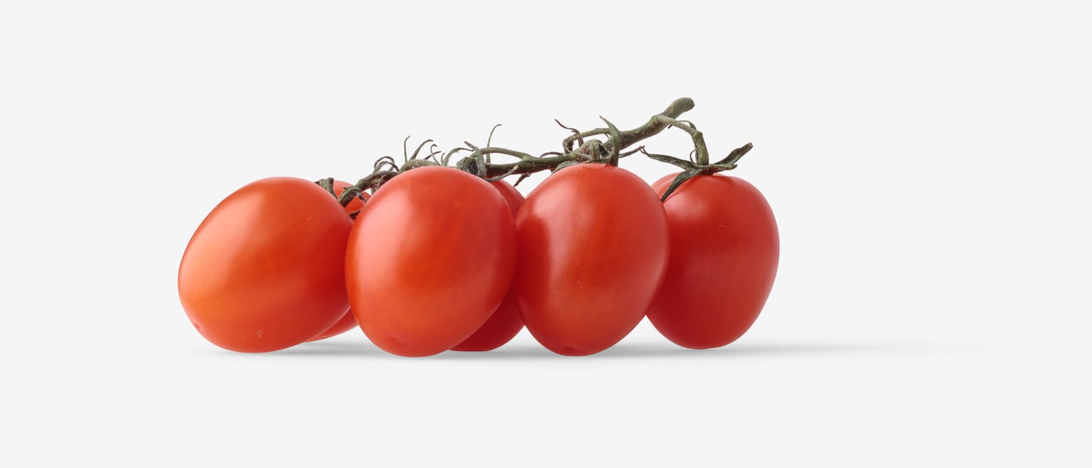 Cherry graphic asset