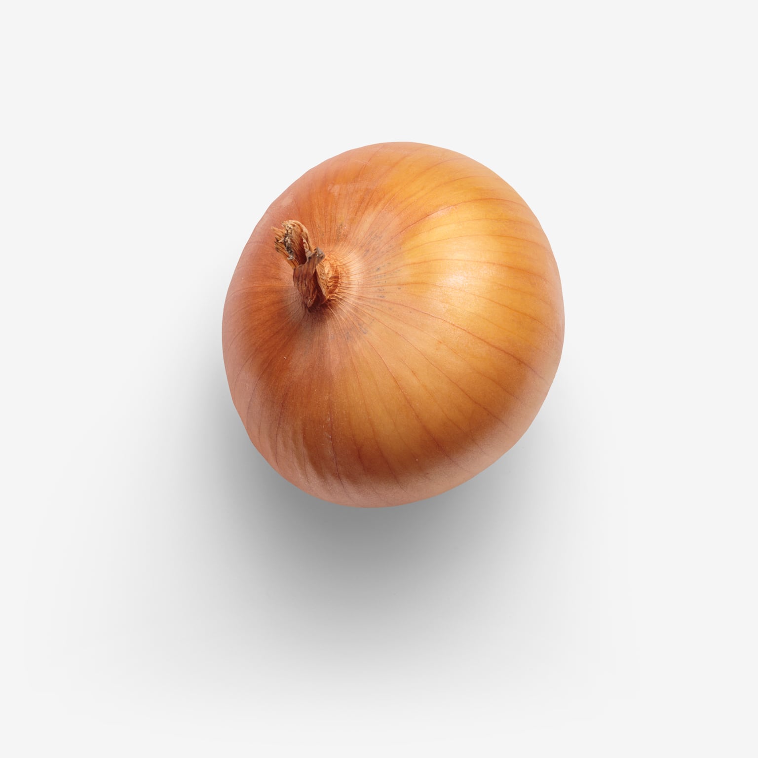 Onion graphic asset