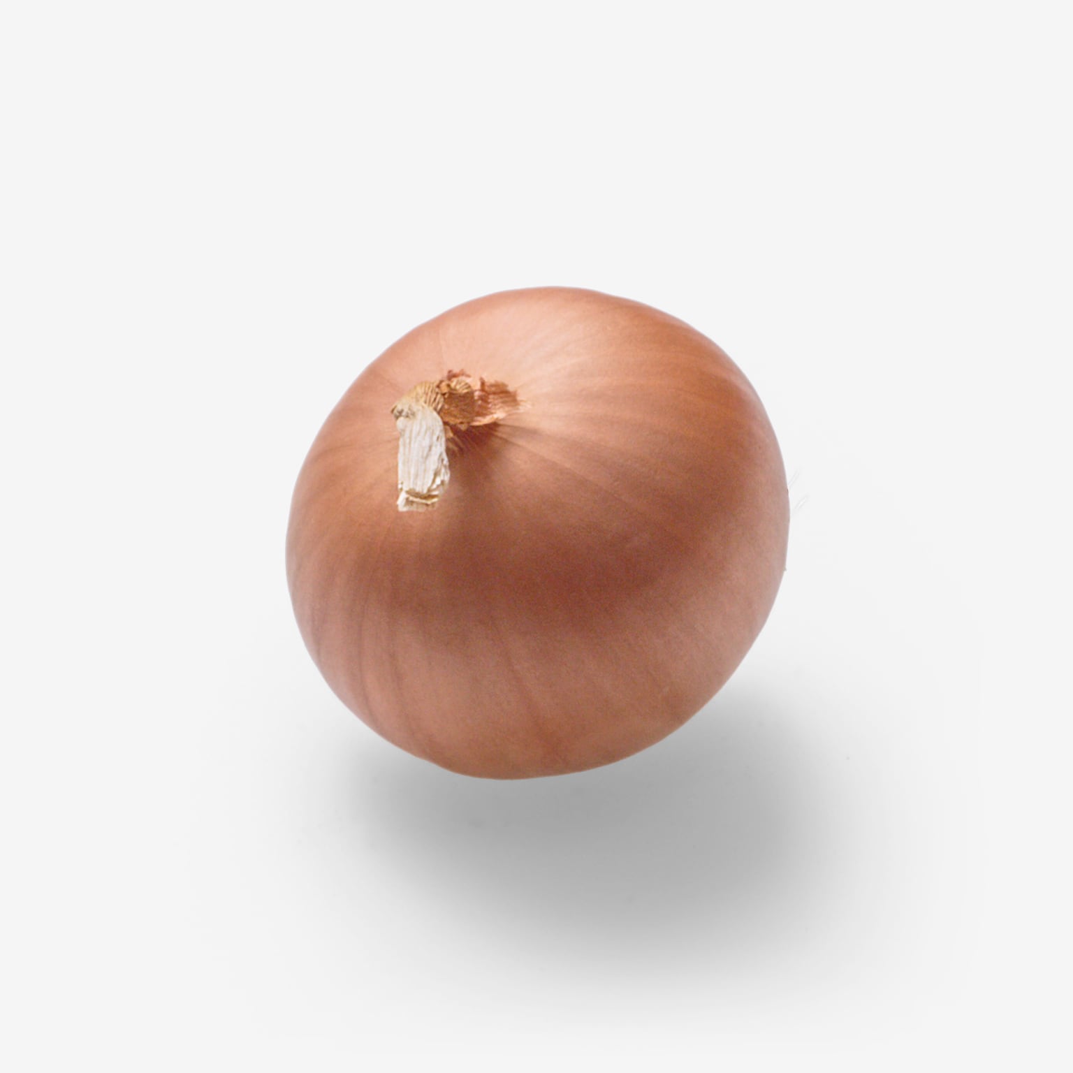 Onion graphic asset