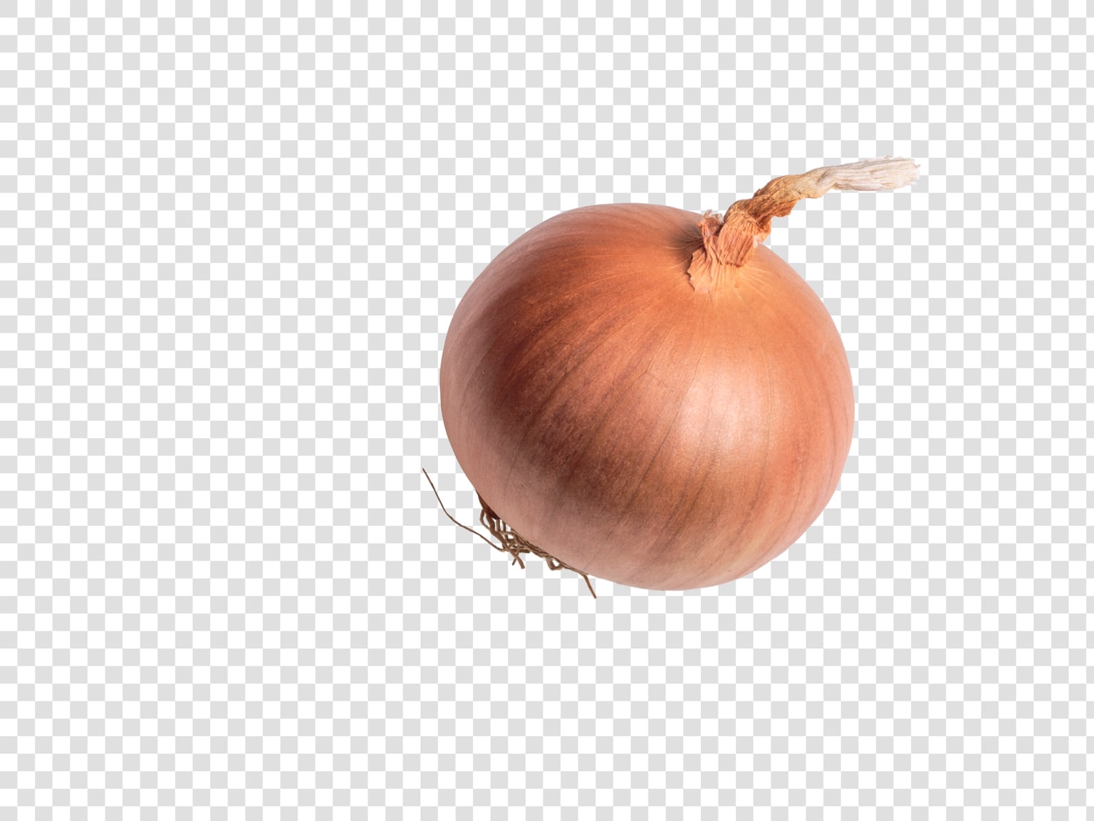 Onion graphic asset