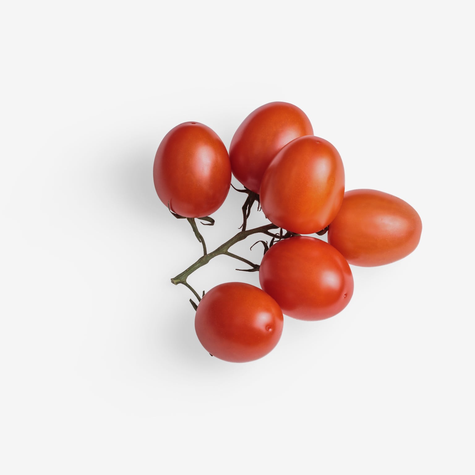 Cherry graphic asset