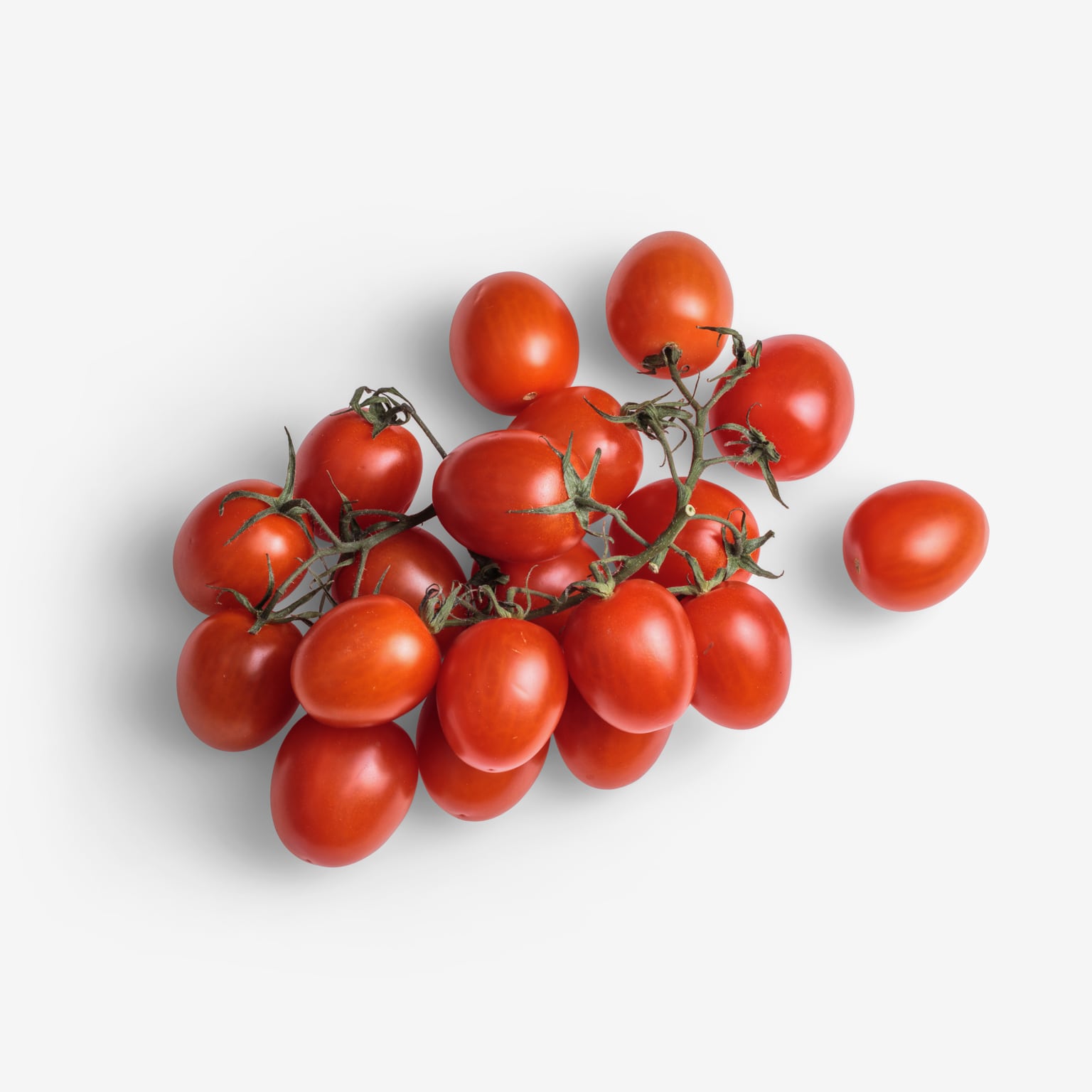 Cherry graphic asset