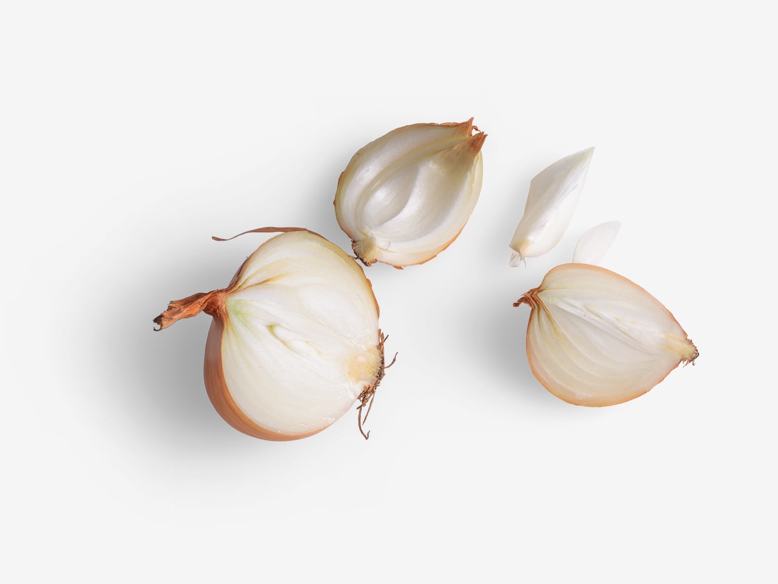 Onion graphic asset