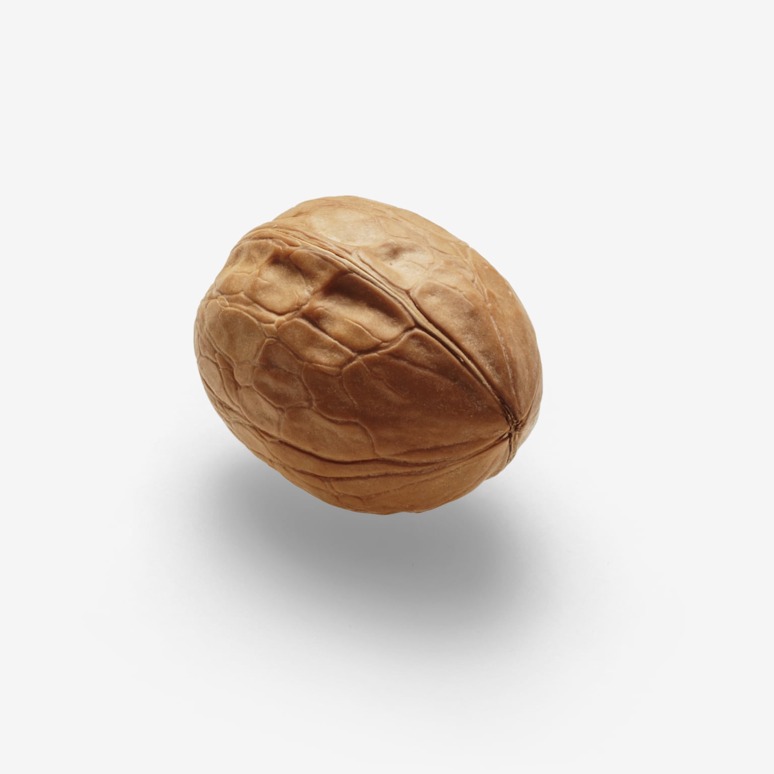 Walnut graphic asset