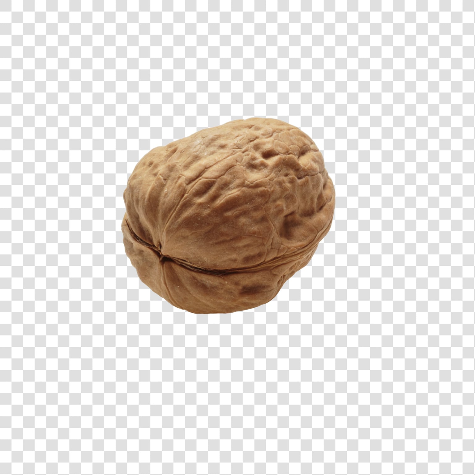 Walnut graphic asset