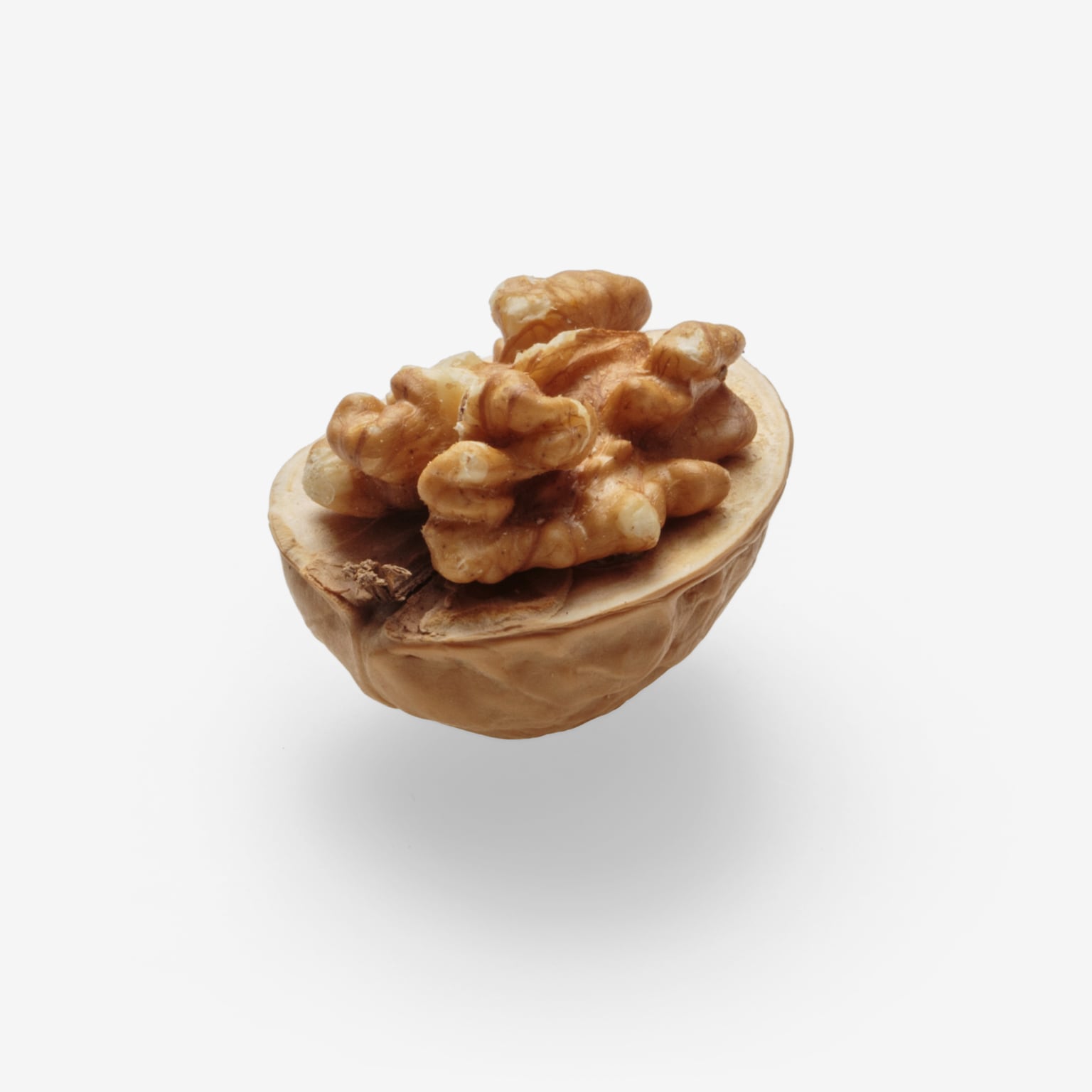 Walnut graphic asset