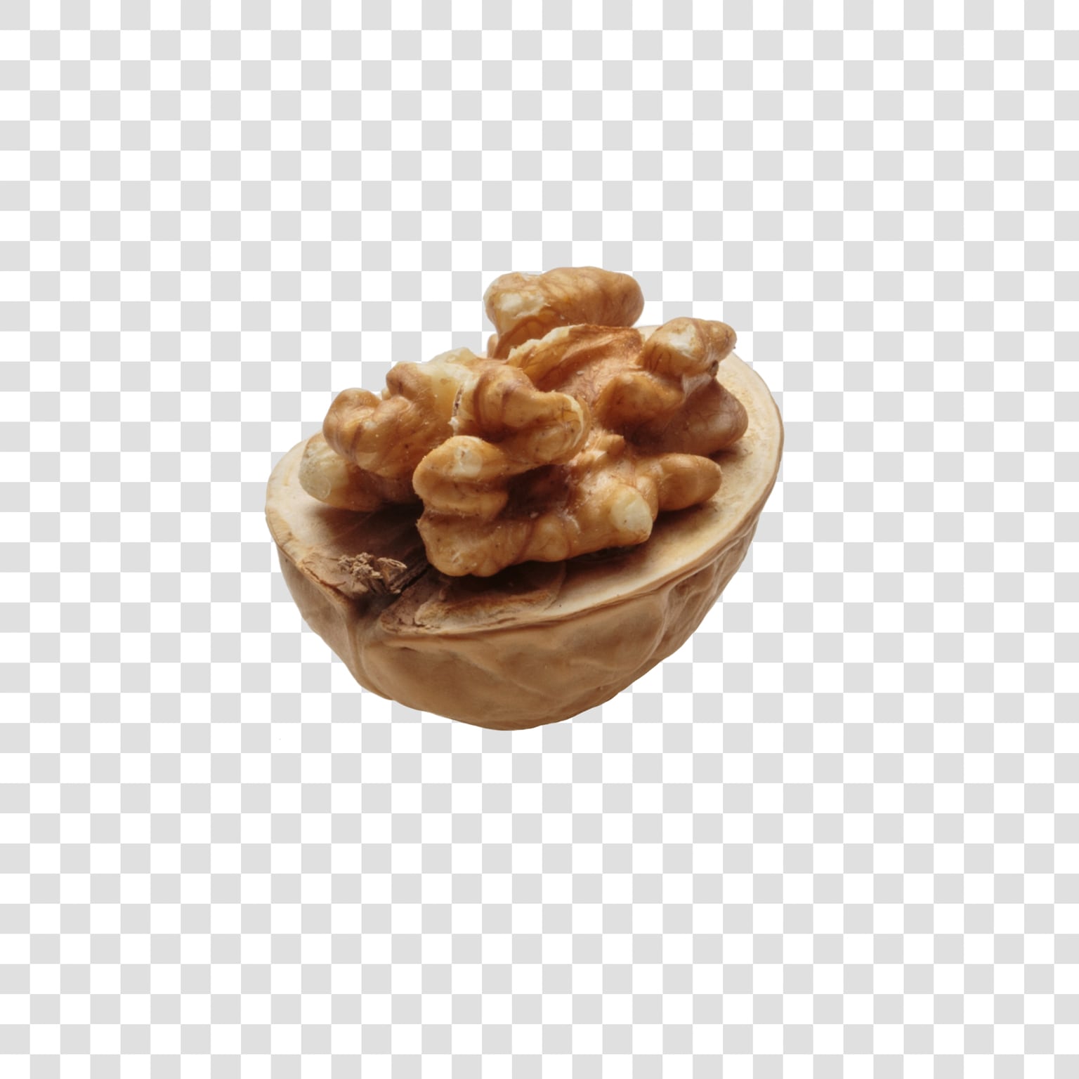 Walnut graphic asset