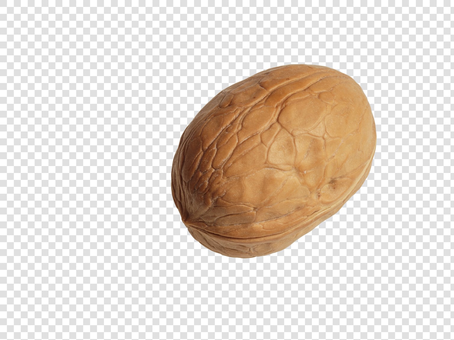 Walnut graphic asset