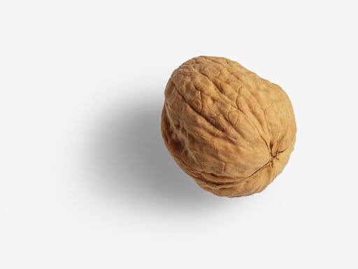 Walnut graphic asset