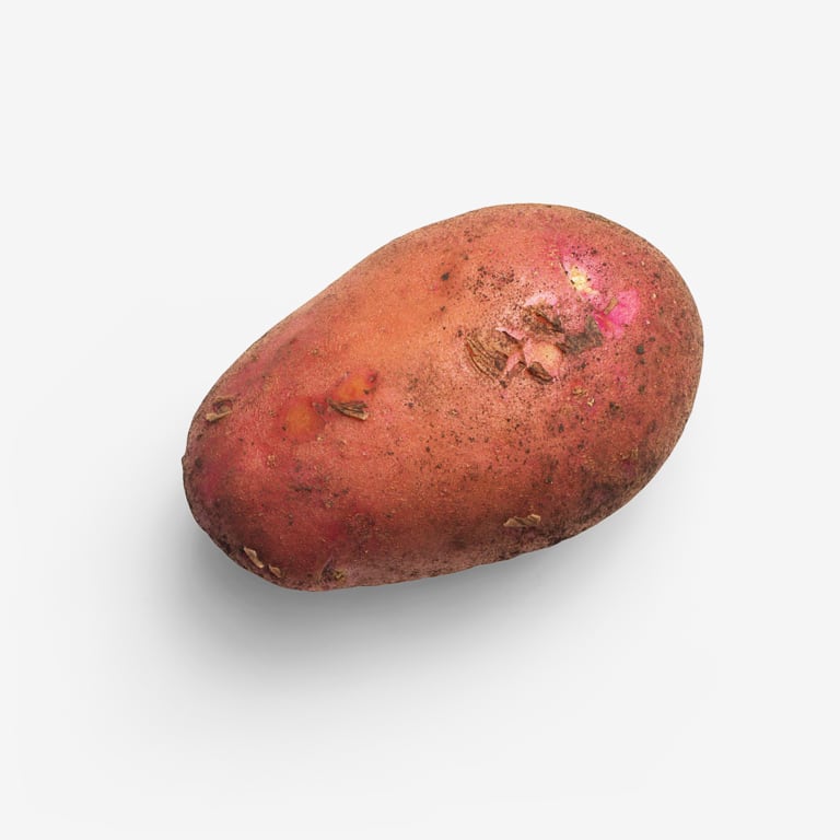 Free and premium graphic design resources