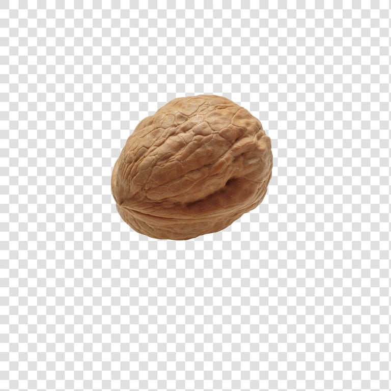 Walnut graphic asset